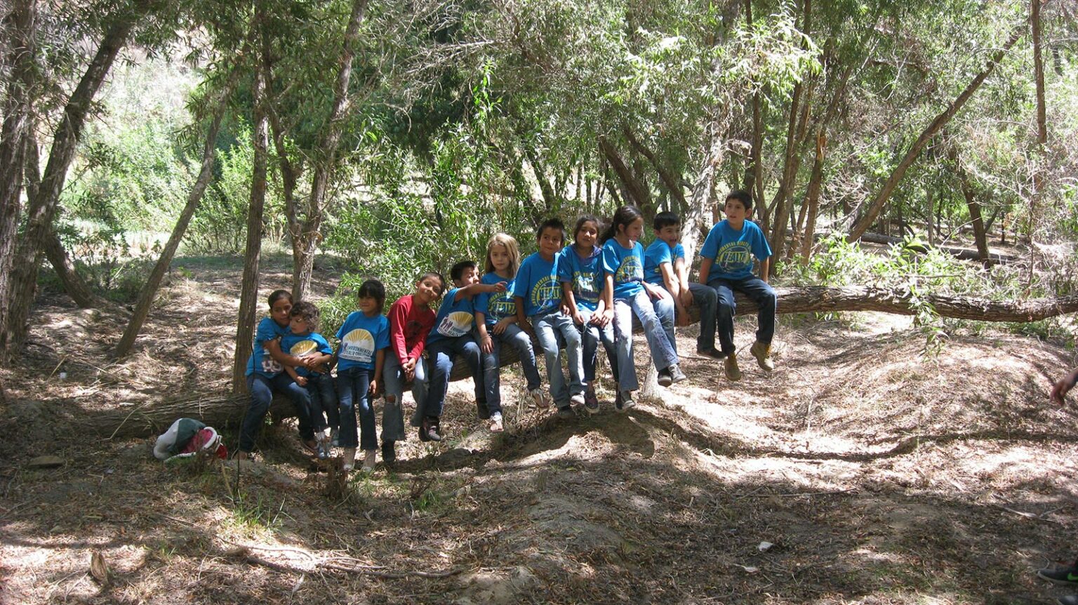 Community action teams - Environmental Health Coalition